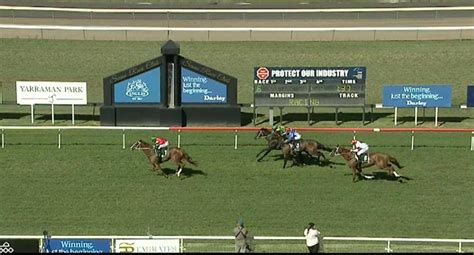 Sharp Speedo Grabs A Third Under Travis Wolfgram At Scone Damien Lane Racing