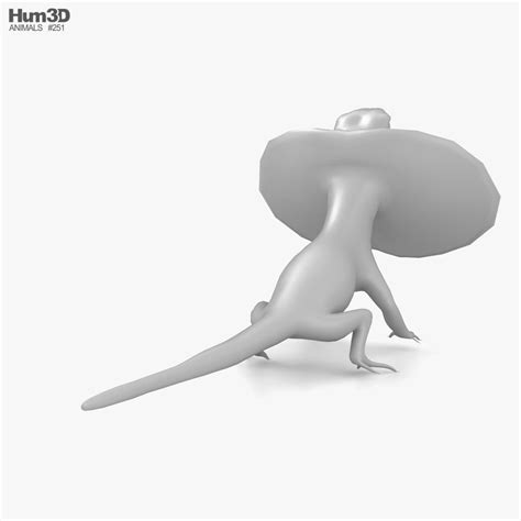 Frilled Lizard Low Poly Rigged 3d Model Download Reptile On