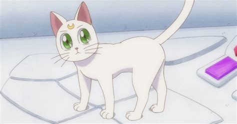 Sailor Moon Artemis Human