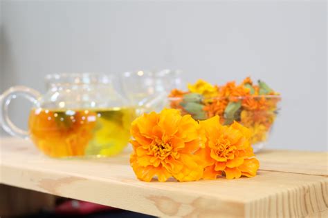 2022열두달꽃차이야기 인연의 꽃 메리골드10 다전 교육원