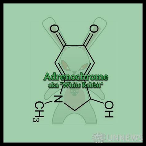 아드레노크롬 수확의 기원 Unnews 유엔뉴스 유엔신문