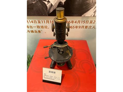 上海4家九三学社全国传统教育基地欢迎大家打卡学习！地方党派团体