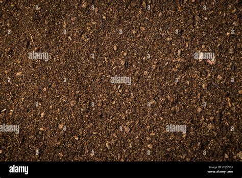 Seamless Potting Soil Texture
