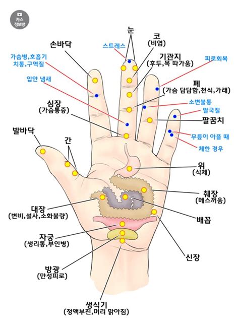 다이어트 건강에 있는 지영 윤님의 핀 지압 반사요법 건강