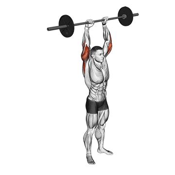 21 Best Triceps Exercises For Muscle Mass And Strength