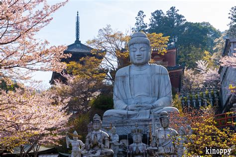 壷阪寺 桜大仏 2 by キノッピー ID11724931 写真共有サイト PHOTOHITO