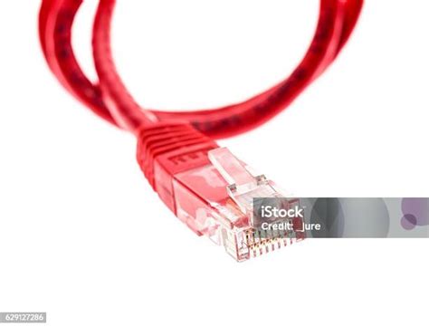 흰색으로 격리된 Rj45 커넥터가 있는 빨간색 네트워크 Utp 케이블입니다 0명에 대한 스톡 사진 및 기타 이미지 0명 글로벌 커뮤니케이션 기업 재무와 산업 Istock