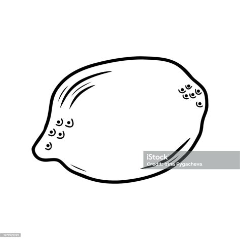 흰색 배경에 고립 된 손으로 그린 감귤류 과일 레몬 낙서 간단한 개요 그림 그것은 직물 종이 및 기타 표면의 장식에 사용할 수