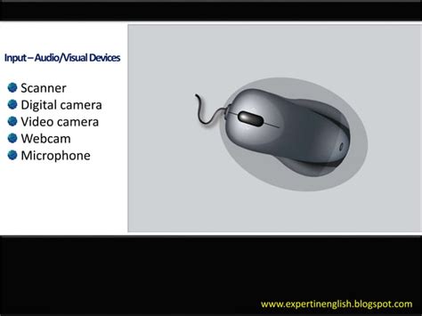 Input Devices PPT