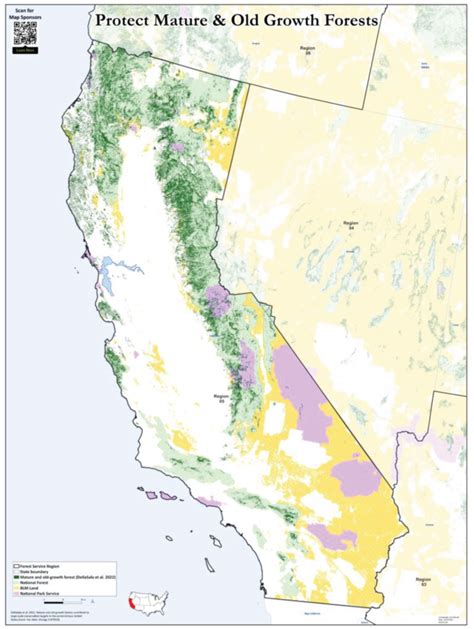 National Forest Week You Might Be Surprised At How Little Old Growth