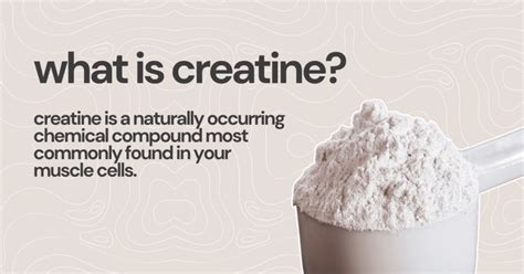 Does Creatine Cause Bloating In The Stomach