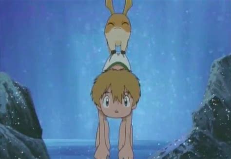 Digimon Adventure 4 Shota Briefs