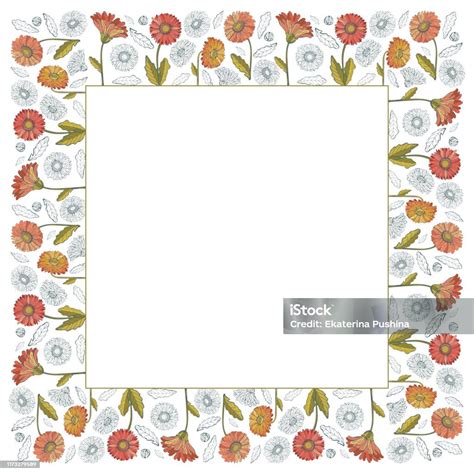 흰색 배경에 거베라 꽃의 꽃 사각형 프레임입니다 나뭇잎 줄기 꽃 봉오리 손으로 색상과 검은 색과 흰색 선으로 그려집니다 벡터의 장식 식물 그림입니다 사실적인 꽃 요소 0명에