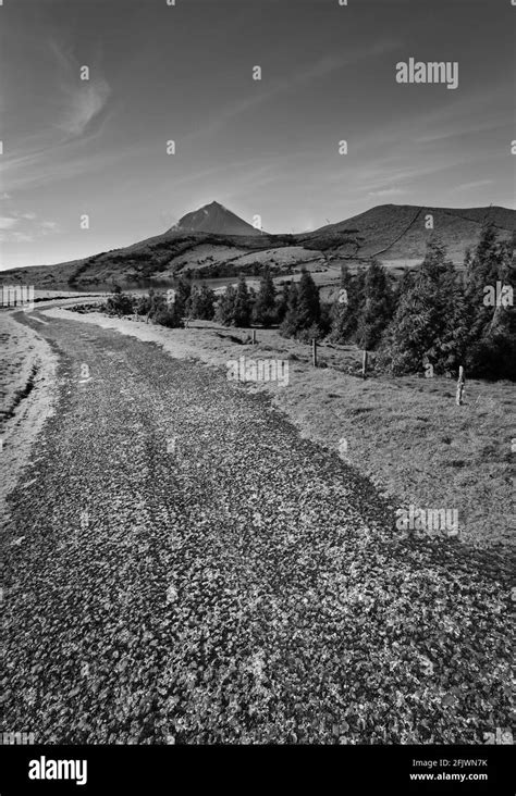 Ilha Do Pico Hi Res Stock Photography And Images Alamy