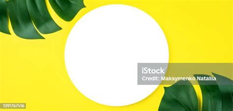 녹색 잎 배경에 흰색 빈 둥근 또는 원 프레임의 배너 광고를위한 빈 텍스트 공간 포스터 자연 개념 노란색 배경에 나뭇잎과 텍스트에 흰색 원이 있습니다 공간을 복사합니다 0