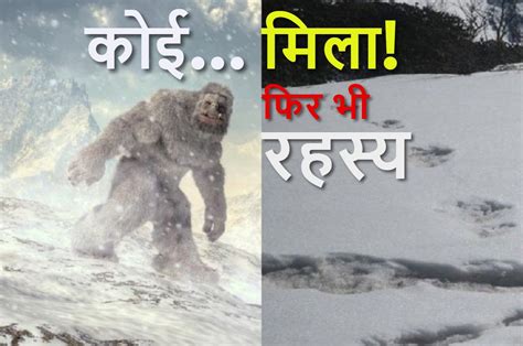 Mystery हिमालय में हिममानव के होने के कई दावे लेकिन सच क्या है जानें