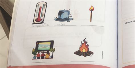 The Image Contains Several Illustrations A StudyX