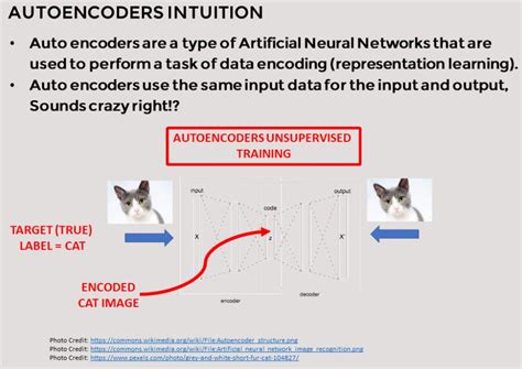 autoencoders are a type of neural network used for unsupervised
