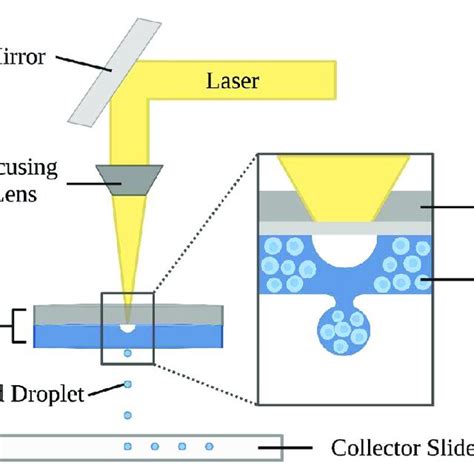 A Brief Review Of Common Biomaterials Used In Cardiac Tissue Engineering Download Scientific
