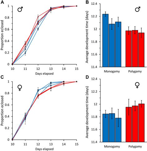 Figure 1 From EVOLUTION OF SEX SPECIFIC RATES OF DEVELOPMENT Cost To Adult Size Wiklund And