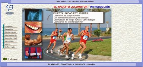 Milagrotic C Naturales 5º Tema 1 La FunciÓn De RelaciÓn Los