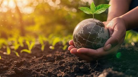 600 Netzero Pictures