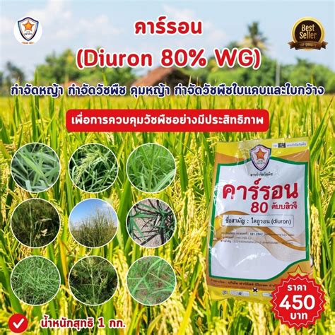 คาร์รอน Diuron 80 Wg กำจัดหญ้า วัชพืช คุมหญ้า กำจัดวัชพืชใบแคบและใบ