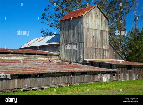 Mcbride Ranch Barn Humboldt Bay National Wildlife Refuge California