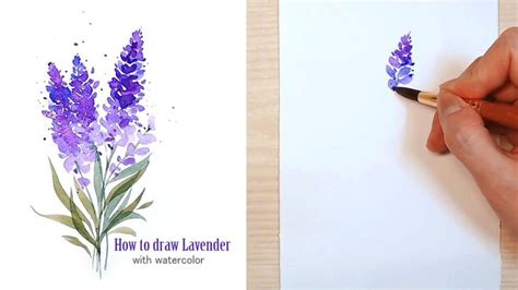 수채화기초 라벤더 그리기수채화 그림그리는 법 Level2 Youtube 수채화 라벤더 꽃 페인트