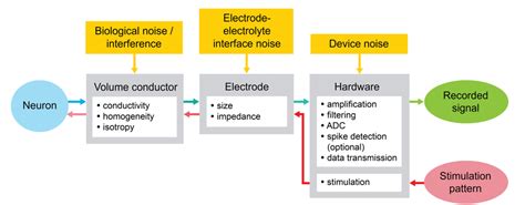 Figure 1 From Revealing Neuronal Function Through Microelectrode Array Recordings Semantic Scholar