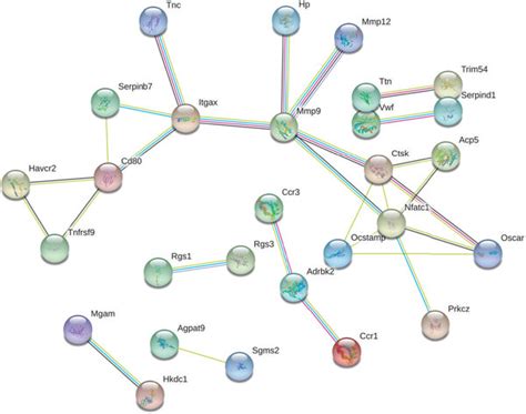 A Total Of 139 Upregulated Genes And 420 Downregulated Genes Were
