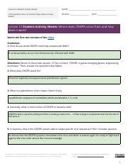Copy Of Lesson 12 Part B Babe Activity Sheet Pdf Lesson 12 Babe Activity Sheets NAME