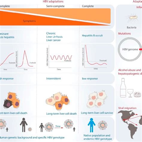 The Theory Of Viral Adaptation The Three Degrees Of Viral Adaptation