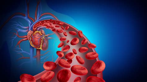 Vitamins For Vascular Health Foods And Supplements For Circulation