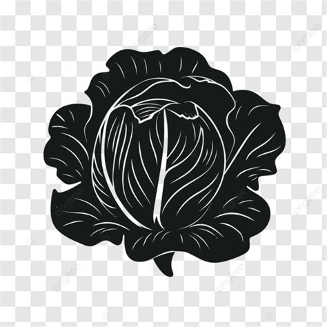 디자인은 단색의 양배추로 만들어졌습니다 벡터 흰색 바탕에 양배추의 단순한 검은색 아이콘 그림자 없음 작은 프레임 중앙 Png 일러스트 및 벡터 에 대한 무료 다운로드