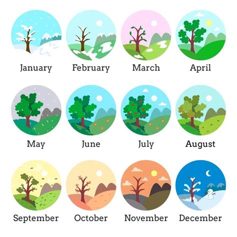 Місяці англійською мовою Англійська мова Months In A Year Vector Free Clip Art