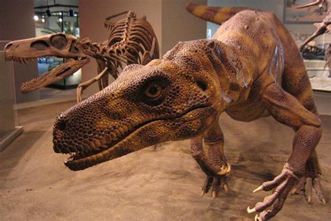 Field Museum Of Natural History Chicago Attractions Review 10best Experts And Tourist Reviews