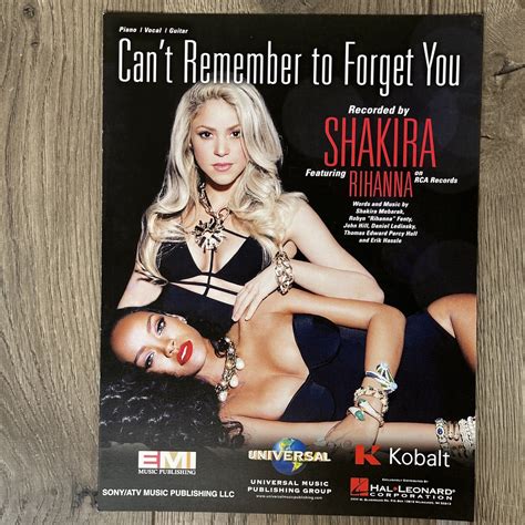 Cant Remember To Forget You Album Cover
