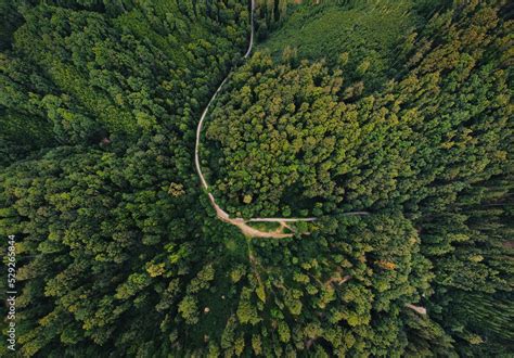 Wide Angle Aerial Photo By Drone Top View Of Amazing Green Forest