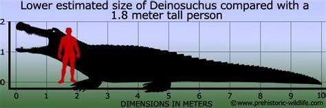 List Of 21 Prehistoric Crocodiles Prehistoric Wildlife
