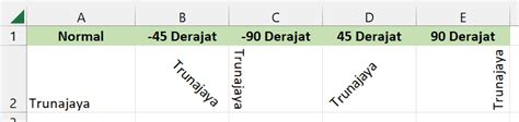 Cara Mengatur Alignment Dalam Excel