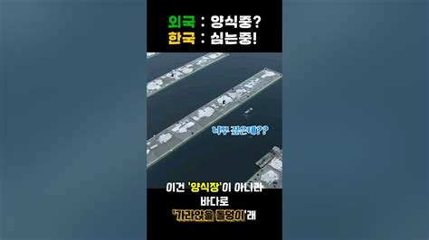 180미터 돌덩이를 수심 50미터 바닷속에 연결해서 세계최초 해저터널을 만든 한국 건설 레전드 Youtube
