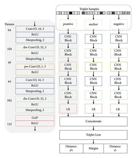 The Structure Of Lightweight Triplet Network Download Scientific Diagram