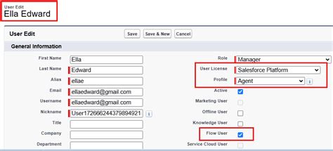 Salesforce Flow Access Flow User Checkbox Vs Run Flows Permission