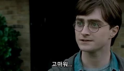 영화 해리포터 삭제장면 인스티즈instiz 이슈 카테고리
