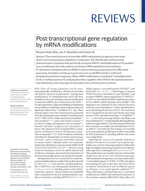 Pdf Post Transcriptional Gene Regulation By Mrna Modifications
