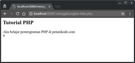 Official Of Psyhcode Perbedaan Fungsi Echo Print Dan Printf