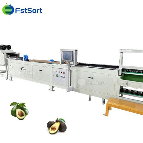 Avocado Classification And Packaging Machine Avacado Waxing And Sorting Machine Avocado Sorting
