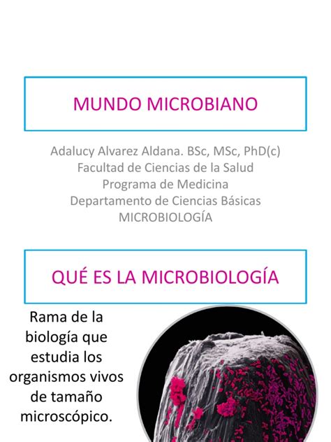 Mundo Microbiano Pdf Pdf Microbiología Microorganismo