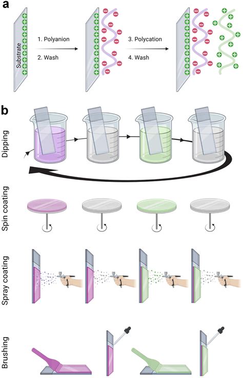 Layer By Layer Lbl Method And Different Processes Of Build Up A